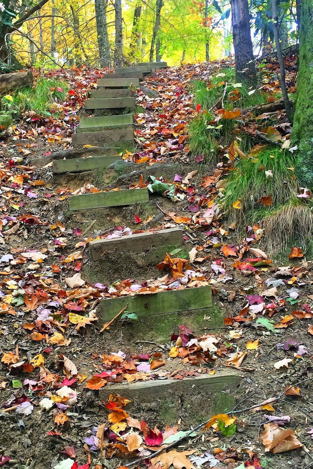 Rambling Hemlock: Foothills Trail Thru Hike
