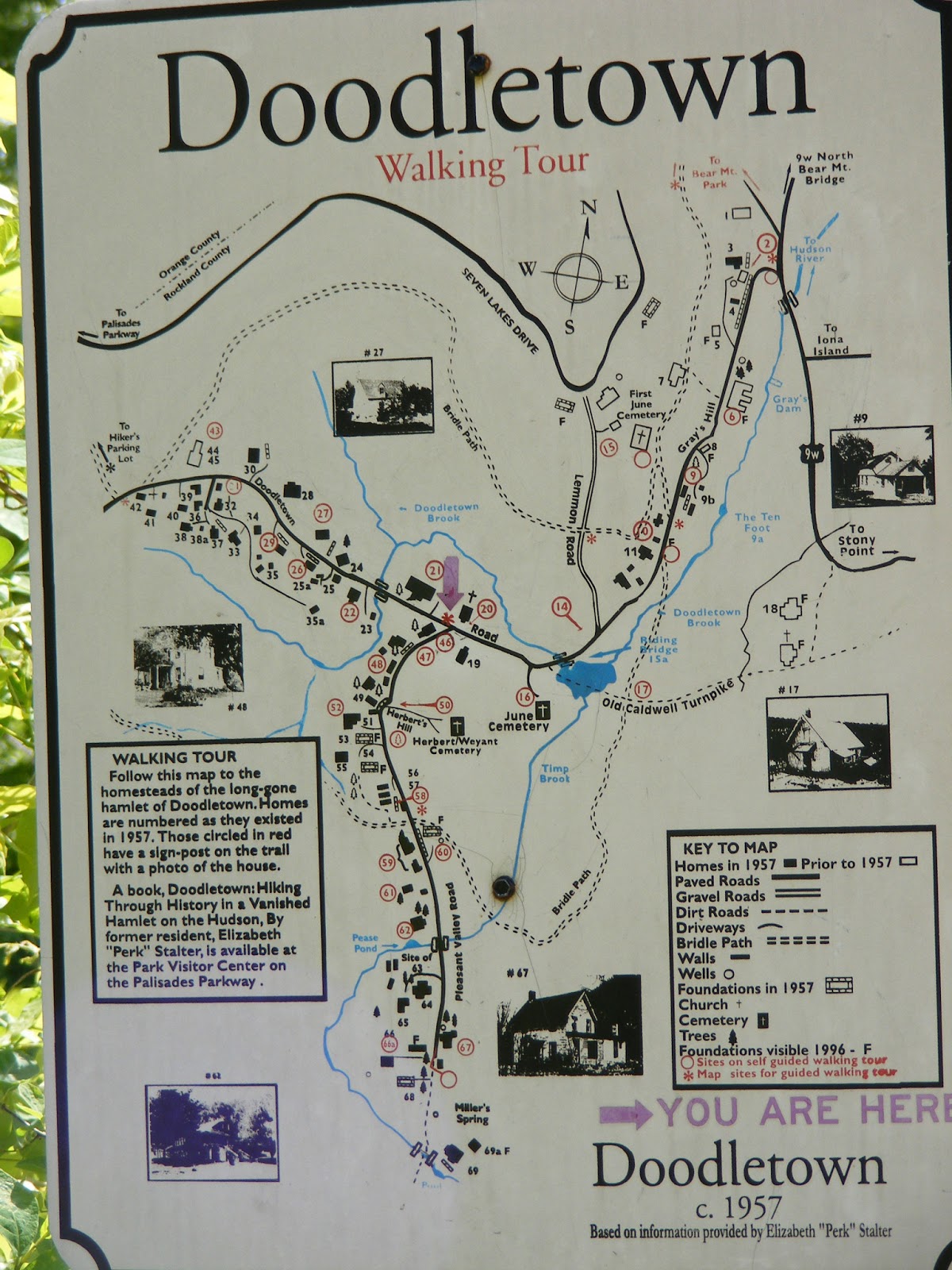 BirdingWeek: Sterling Forest State Park and Doodletown