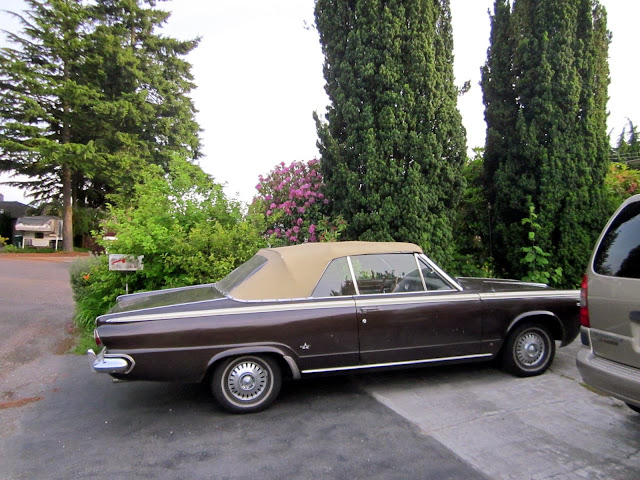 Seattle's Classics: 1964 Dodge Dart GT Convertible