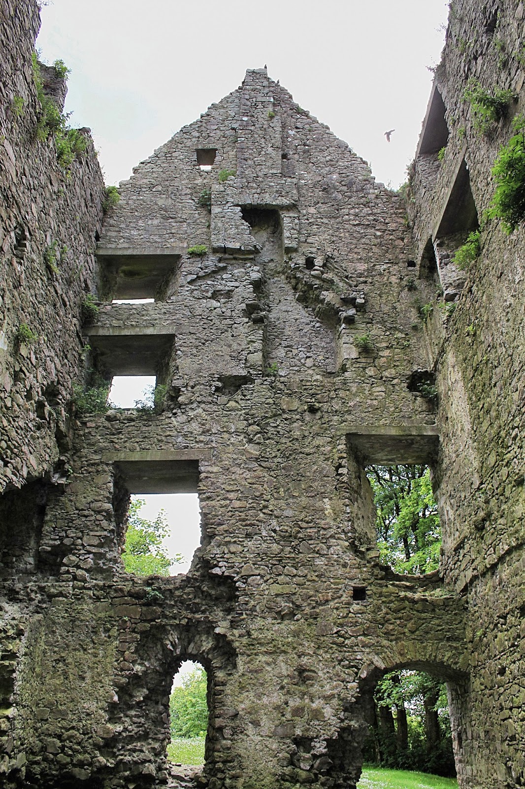 Historic Sites of Ireland: Dunmore Castle
