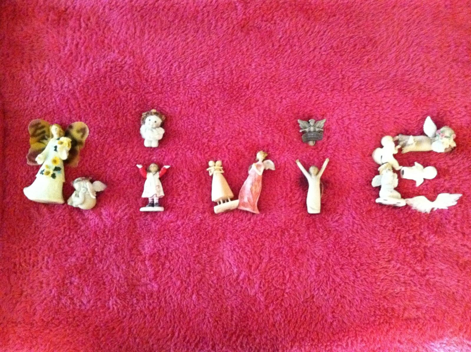 The Livie Project: The Livie Project - Pictures