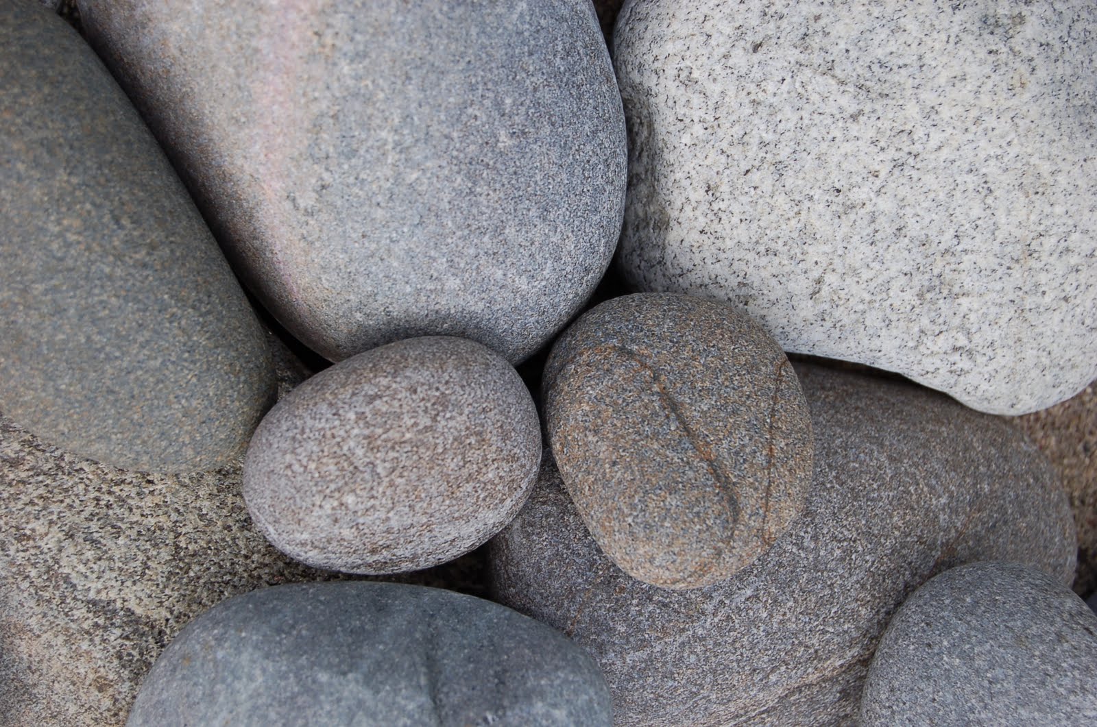 Klara Lavendel: STENAR!