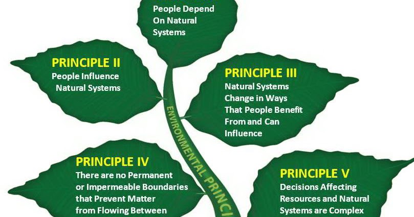 California Education and the Environment Initiative: Environmental ...