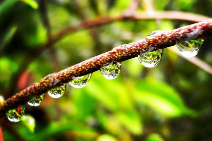Ashley Tibble photography GCSE 2012: Depth of Field