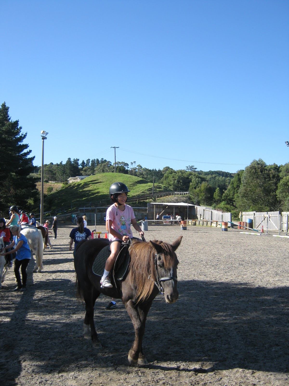 Room 13 Creative Learners: My horse Candy.