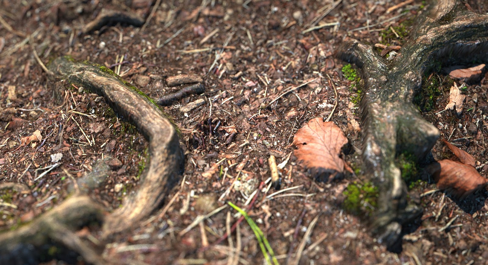 RDT Collection 3 is now available | Computer Graphics Daily News