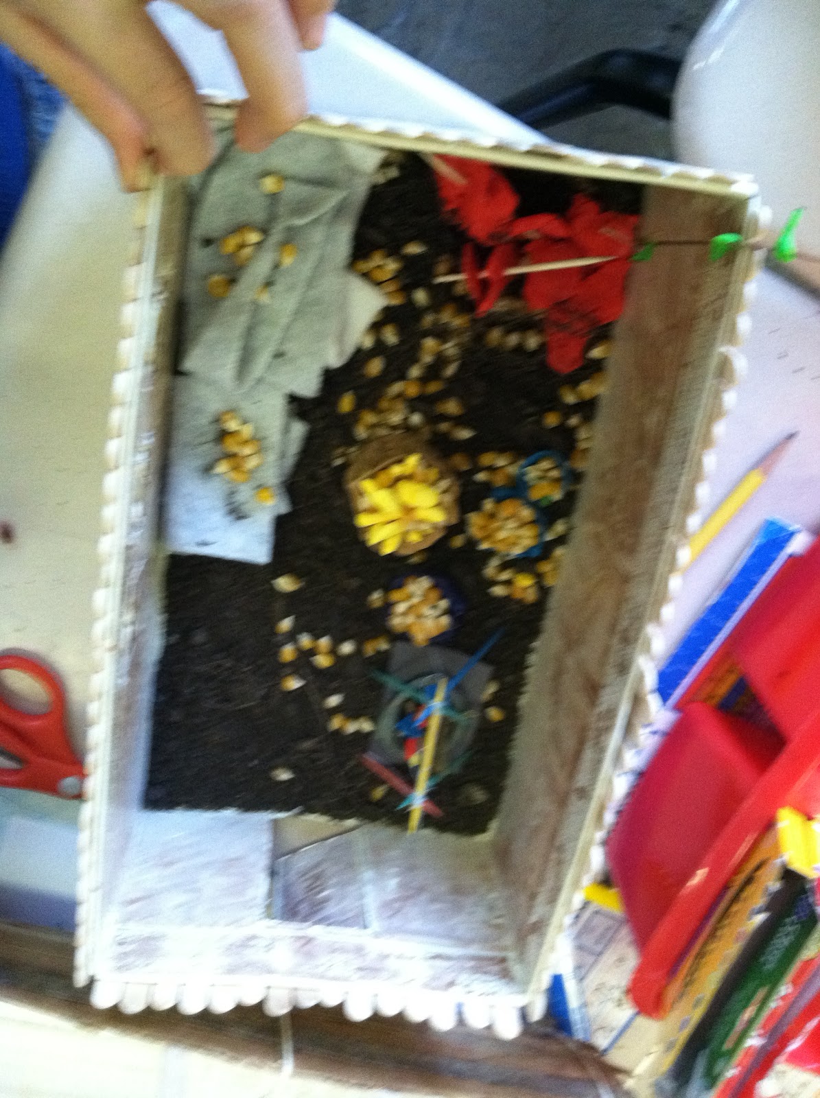 Walton School Blog: Third Grade Long Houses