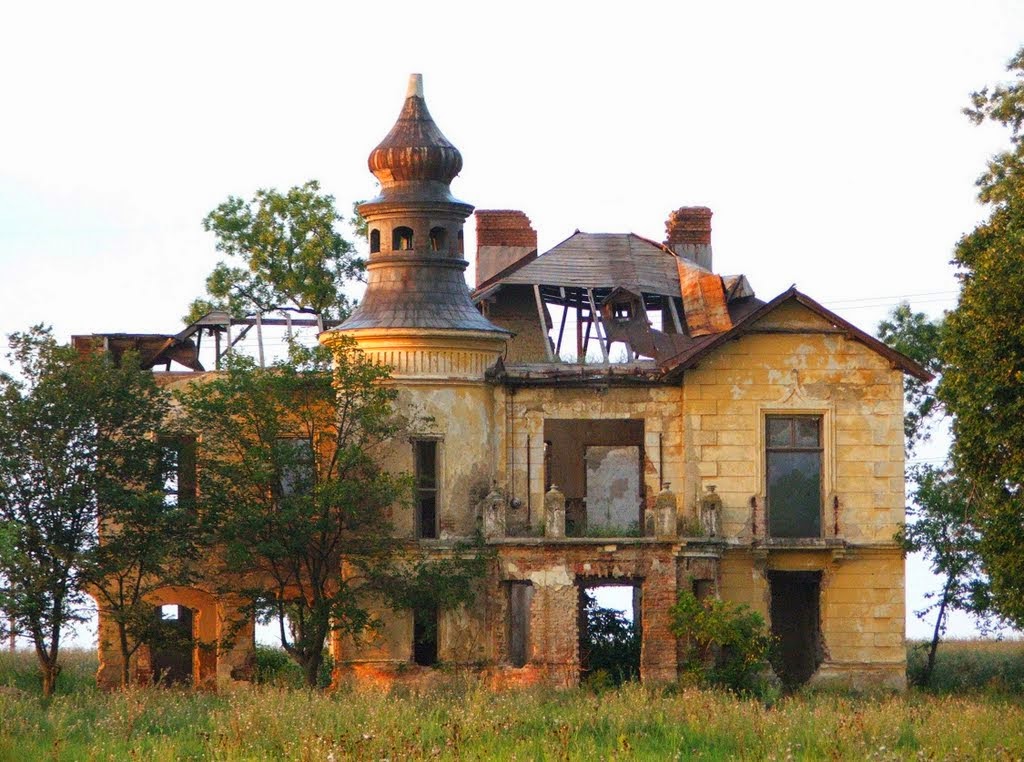 MONUMENTE ISTORICE DIN ROMANIA : Conace abandonate.....