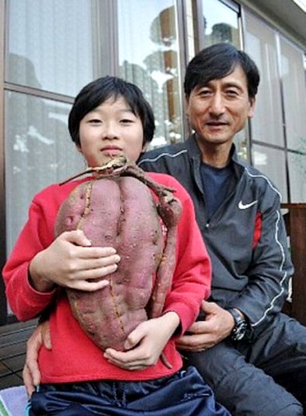 Econcientiza: Difunden fotos de presuntas plantas y frutos mutantes de ...