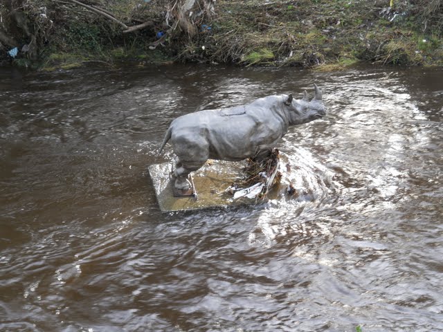 Let's Walk the River Dodder, One of the Best Hikes in Dublin