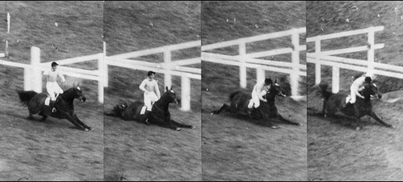 Murder is Everywhere: The Grand National: Victories and Tragedies ...