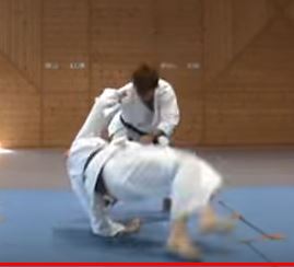 Defending the Hikite