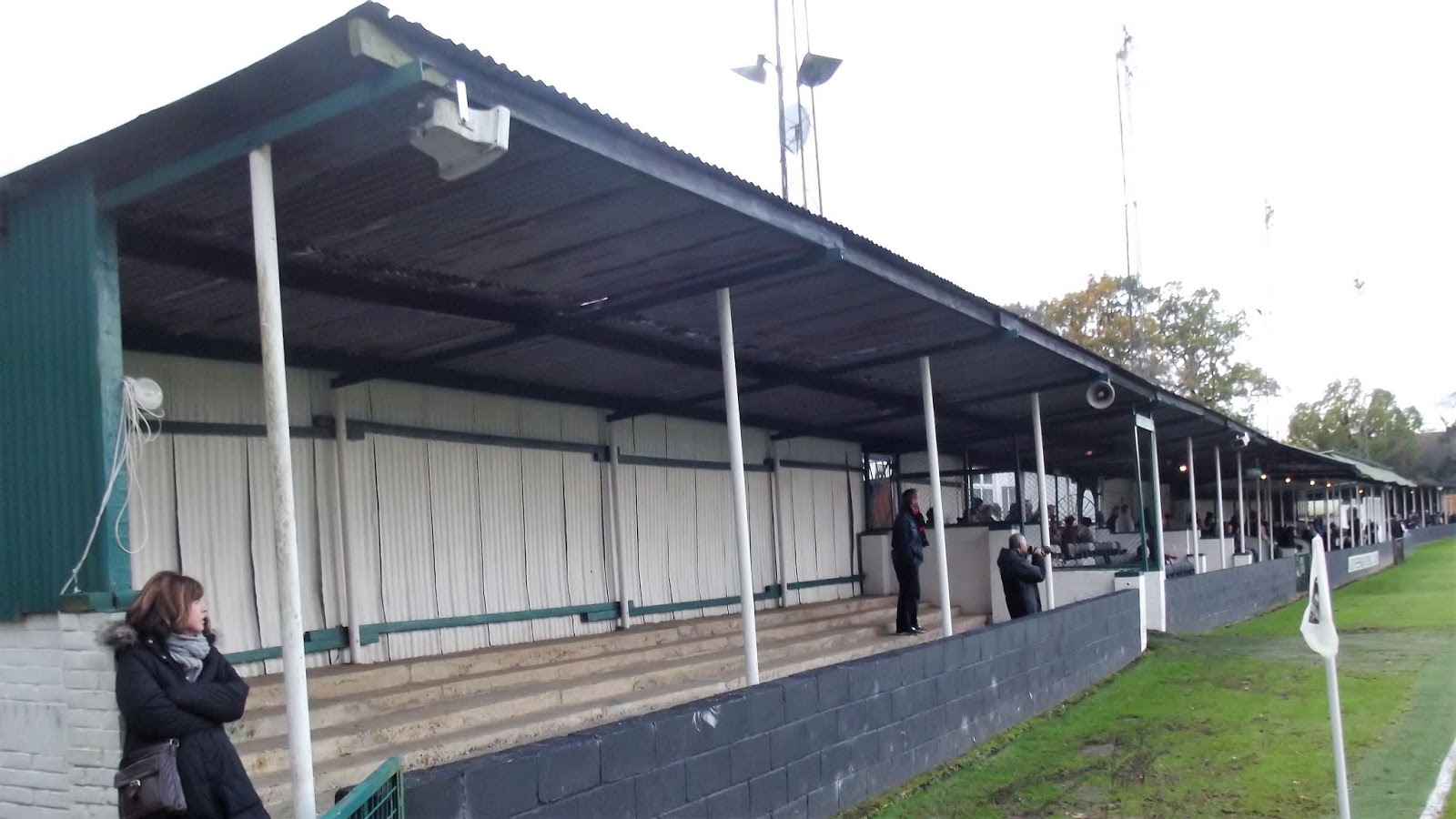 The Wycombe Wanderer: Leatherhead - Fetcham Grove