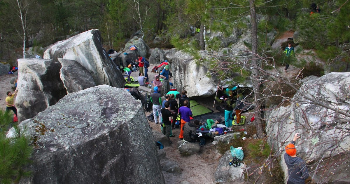 Printemps des couleurs, c'est complet ! ~ FontaineBleau Passion