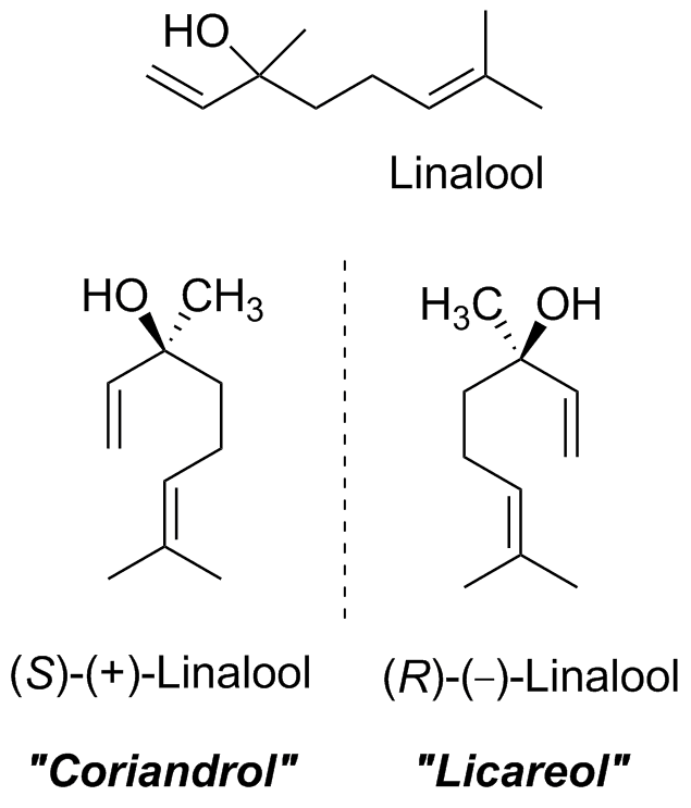 Linalool Structure