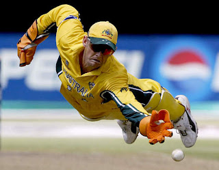 World Sports Picture: World best Catch taken