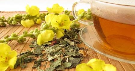 11 Amazing Health Benefits of Mullein Tea - Mullein Health Benefits