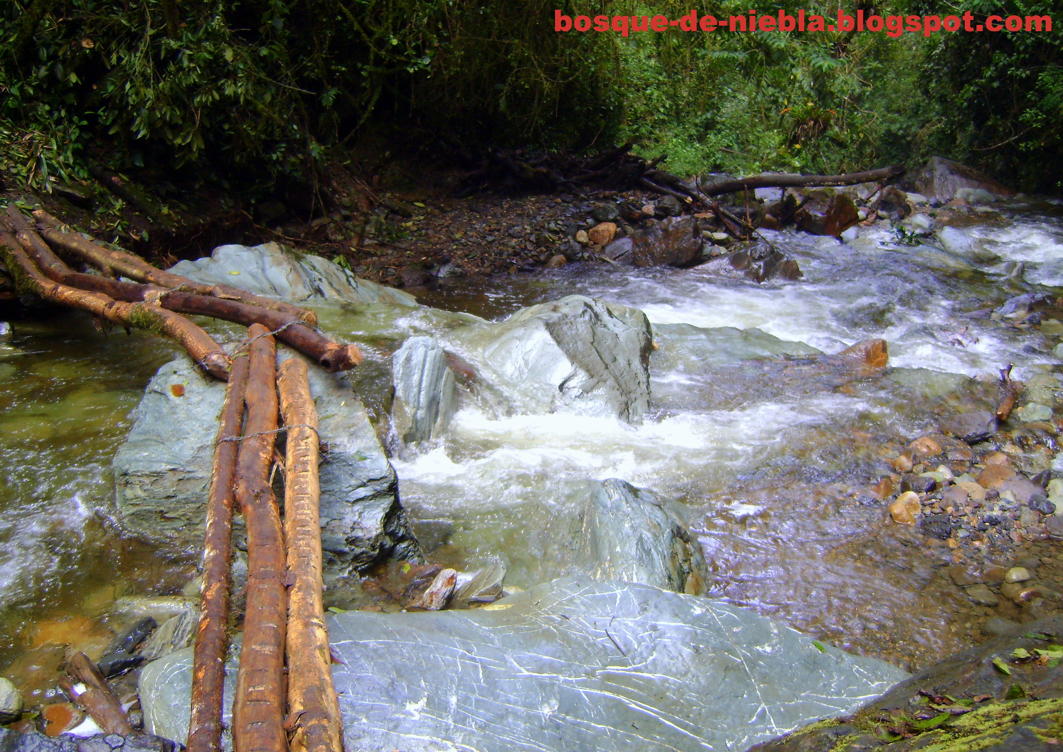 Rutas De Montaña.: NEVADO DEL TOLIMA - SALENTO QUINDIO