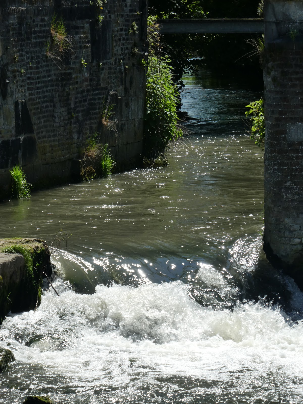 joachimartist: to town and back through Jeker valley