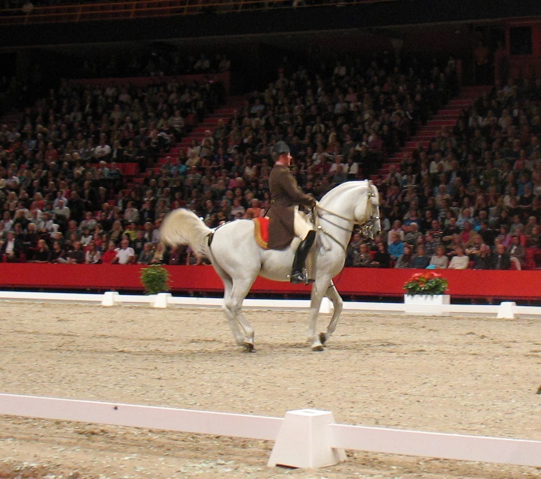 Hästdrömmar: Spanska ridskolan