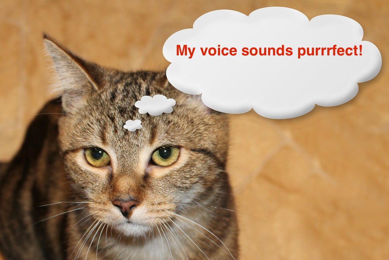 Gary Terzza's Voice-Over Blog UK: How Should I Describe My Voice?