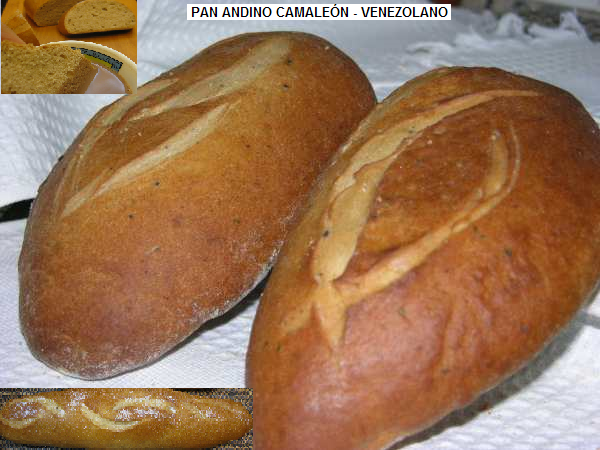 PAN ANDINO CAMALEÓN - VENEZOLANO
