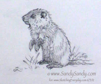 *Sketching Every Day*: How Much Wood Could a Woodchuck Chuck?