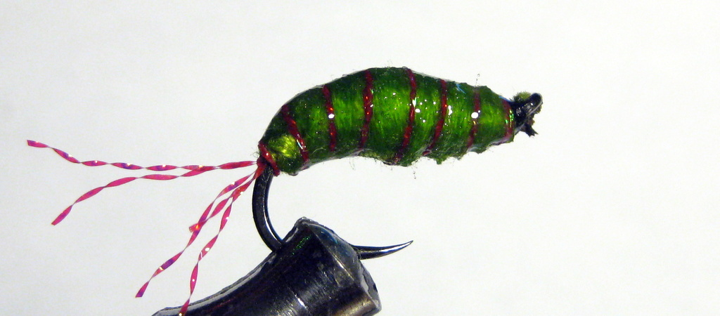 Dead Fisher: The Simcoe Bug