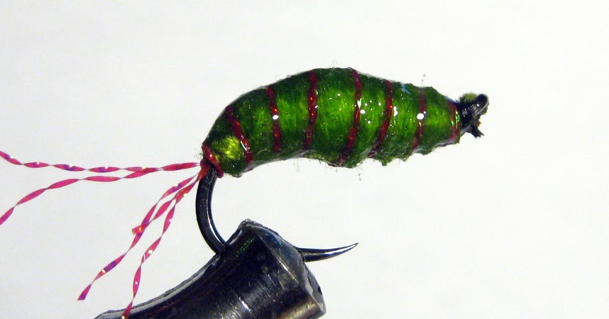Dead Fisher: The Simcoe Bug