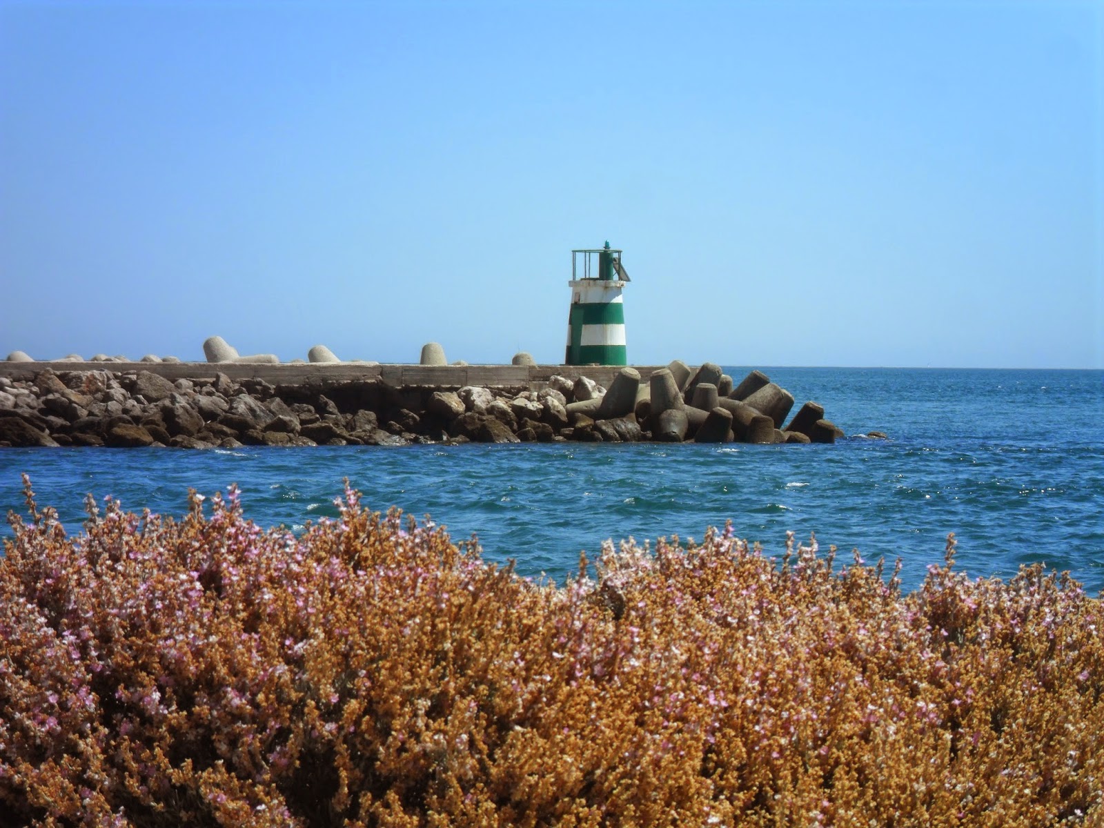 blog de viajes : tavira portugal , isla tavira algarve portugues , las ...