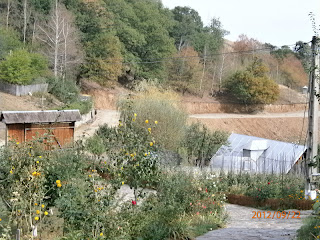 MANASTIRI-CALATORI : MANASTIREA AFTEIA(CIOARA)-SEBES ALBA