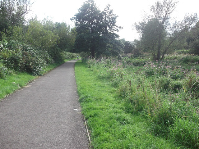 A Brummie's Guide to Birmingham: River Rea; Cannon Hill Park - Cartland ...