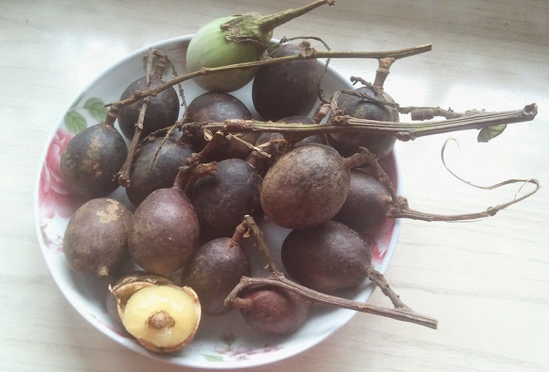 Tiger Walker (ทางเสือผ่าน): crystal longan