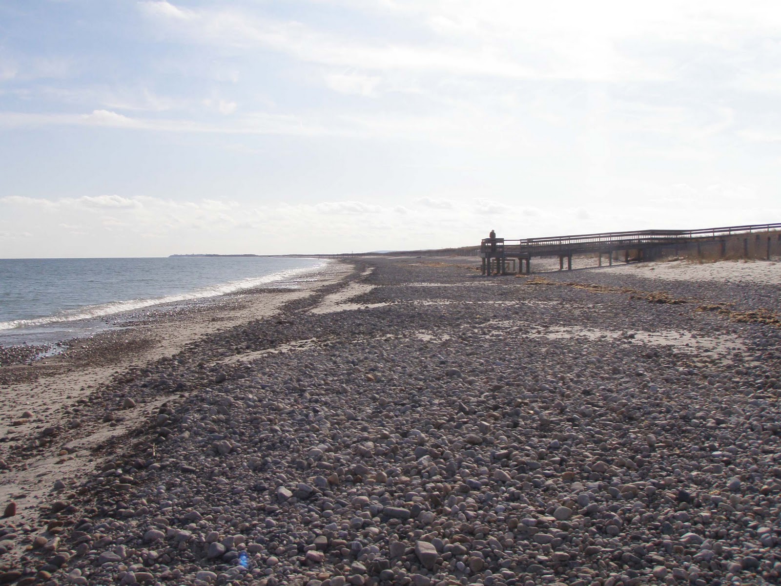 Morning Dew: Duxbury Beach and Marshfield Beach