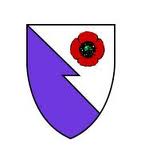 The Online Medicals: MCEM/MRCEM