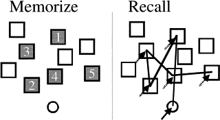 Bilingual Children Have Advantage in Working Memory