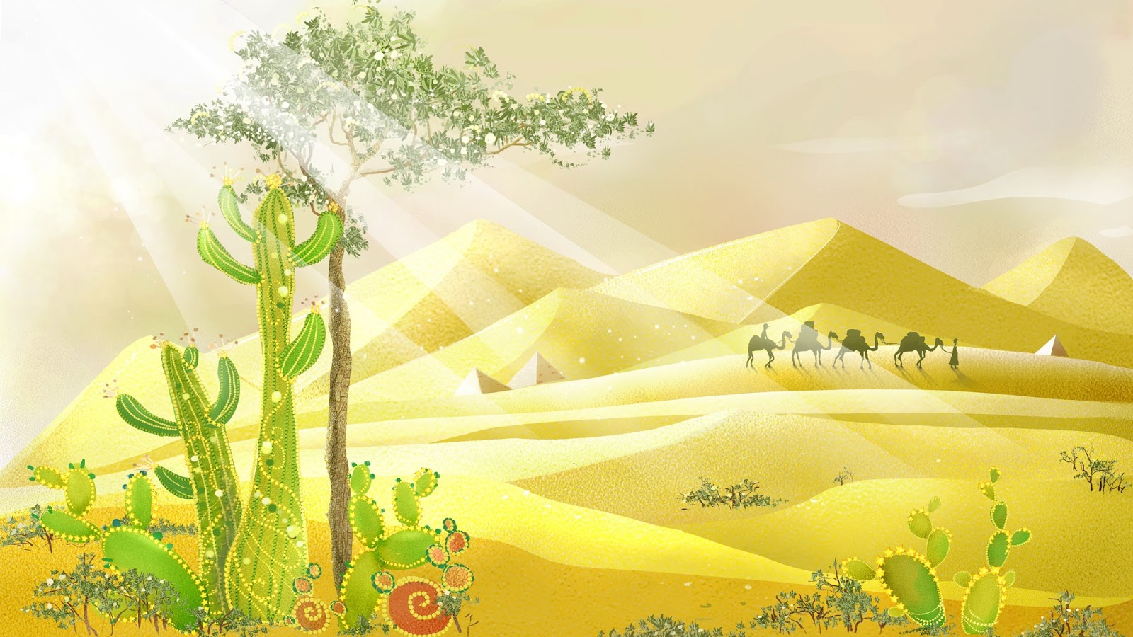 Zohaib Ahmad: Wallpapers