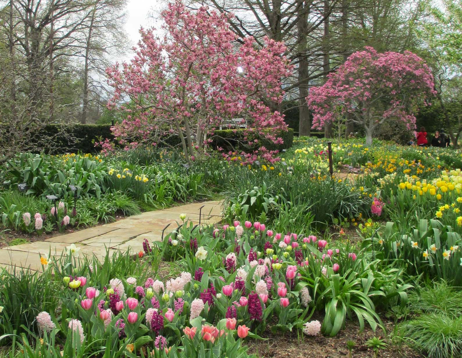 Garden Fancy: Garden Visit: Bulb-tacular MOBOT