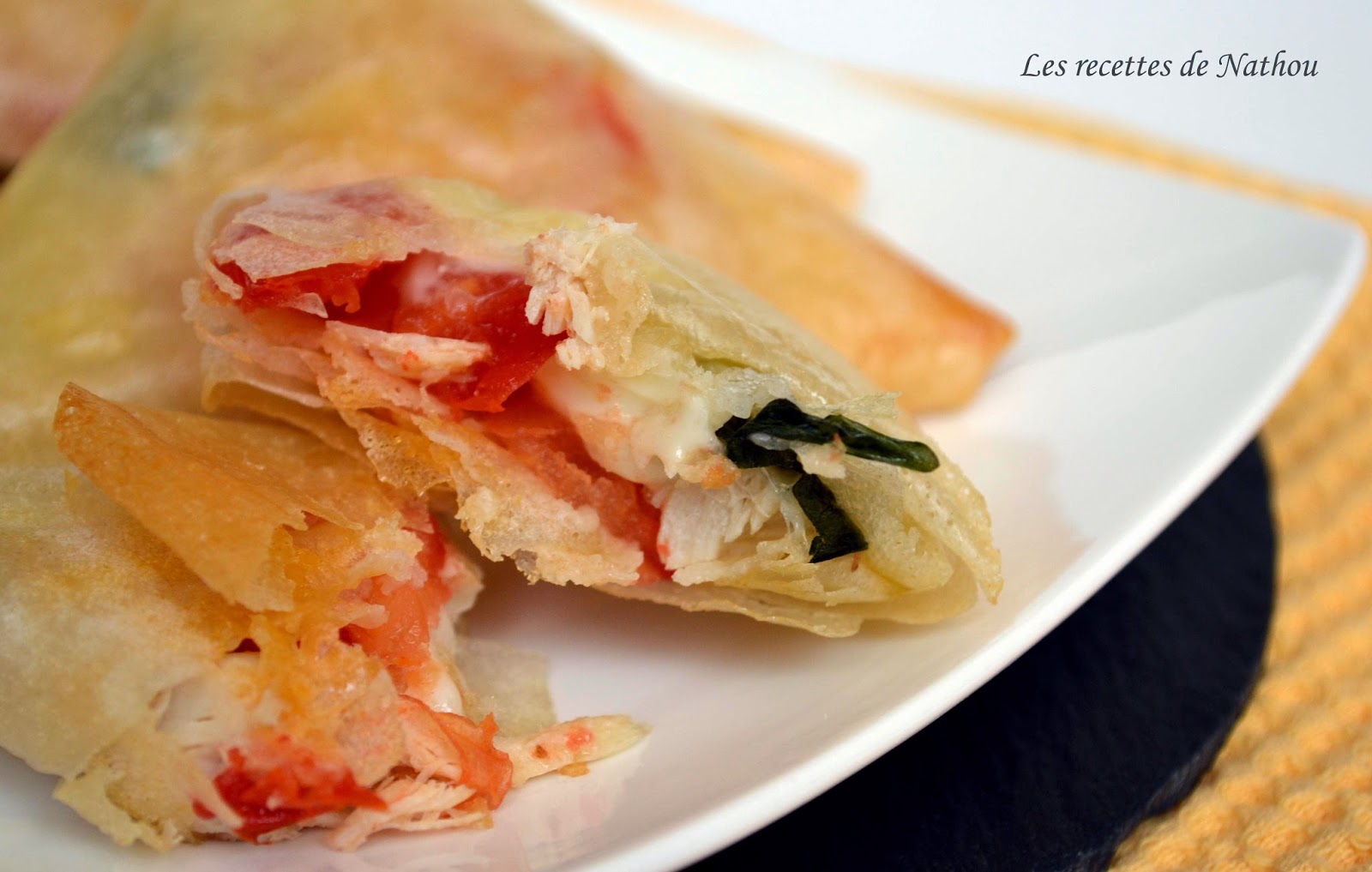 Ma cuisine au fil de mes idées...: Samoussas au poulet, tomate et ...