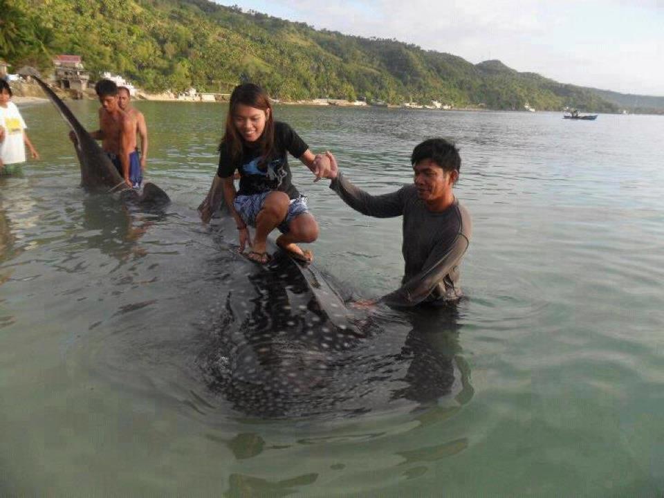 LILOAN Trippers: Liloan Trippers Speak Out on Stranded Butanding in ...