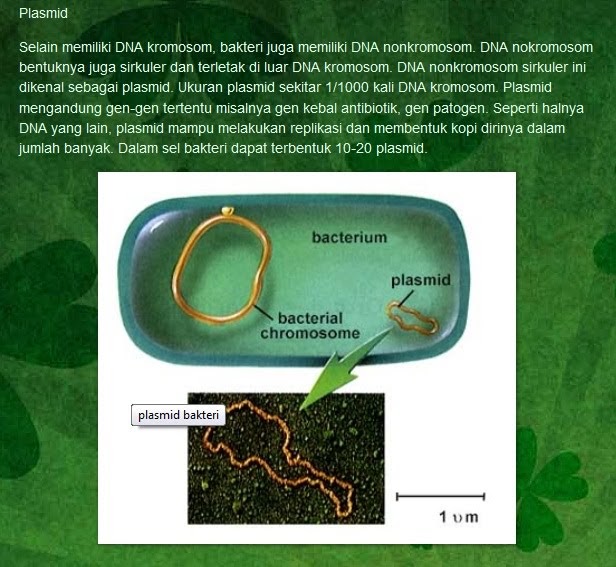 BIOLOGI GONZAGA: TRANSPLANTASI GEN-TEKNIK PLASMID