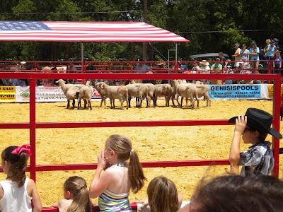 Thoughts from Meme's Corner: Mutton Busting Blue Monday