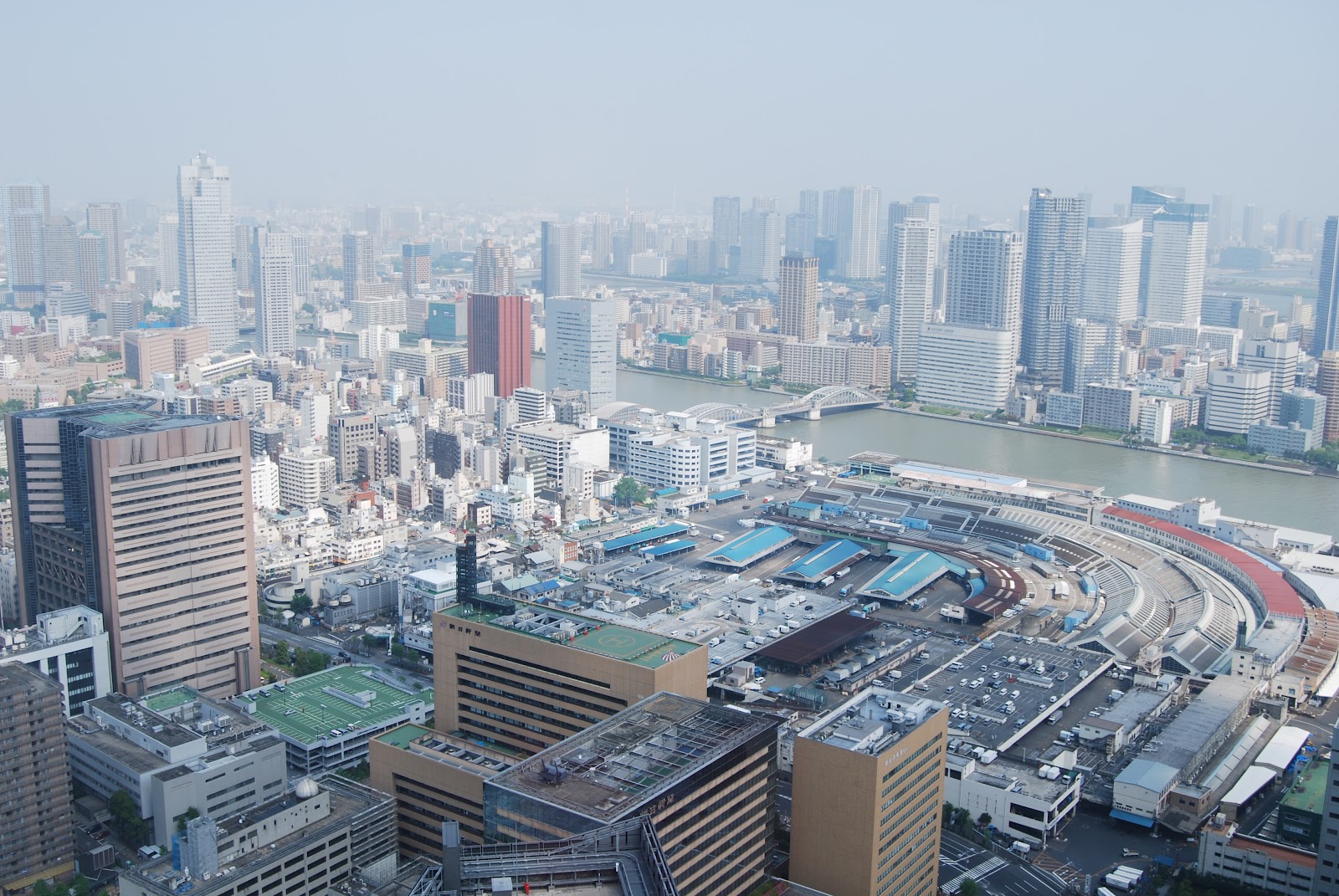 The Blokeblog: Japan I - Toyko, the home of Mario