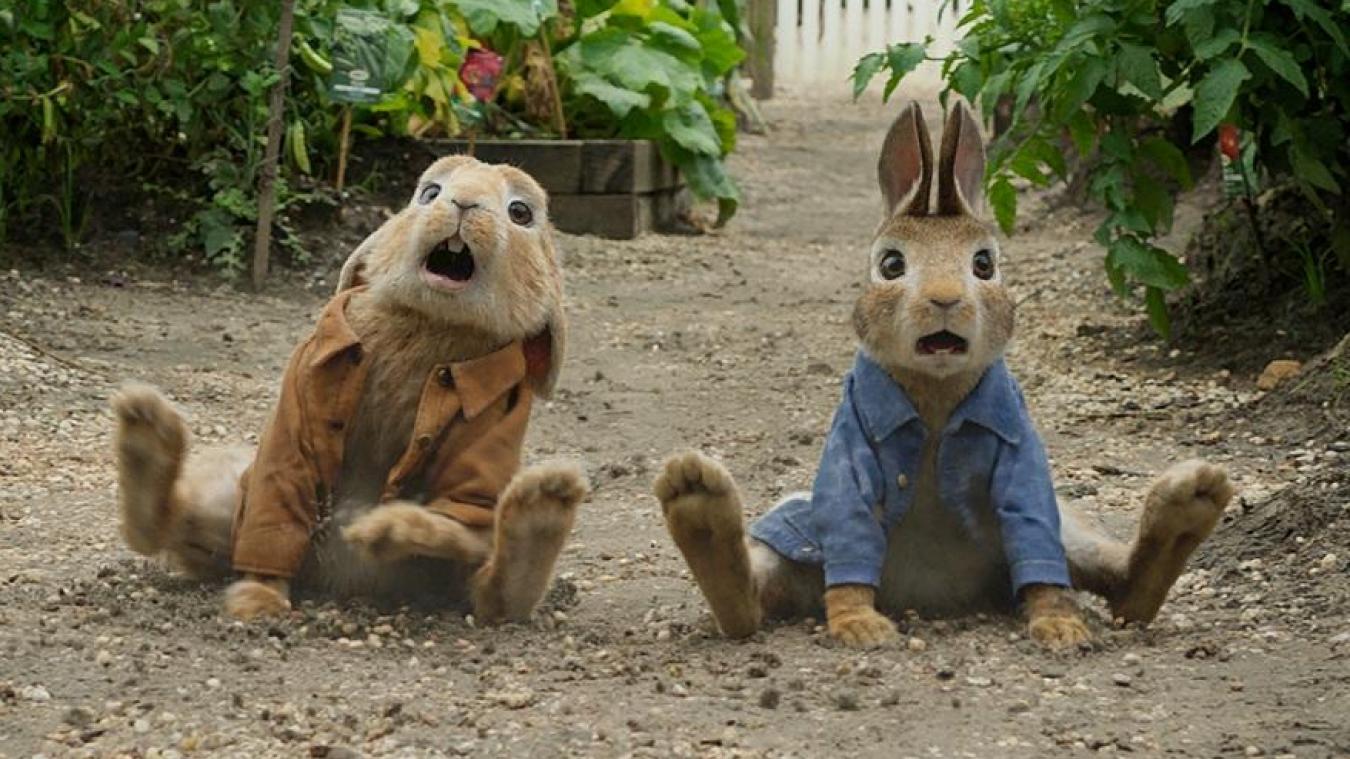 Pierre Lapin et ses amis arrivent en DVD, 4K UHD, Blu-ray ce 8 août