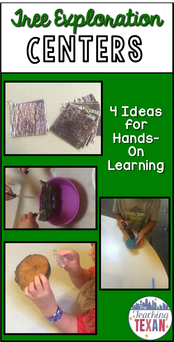 Monday Motivation: Exploring Trees and Bark - The Teaching Texan