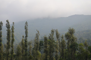 Travel: Linger @Balur Estate