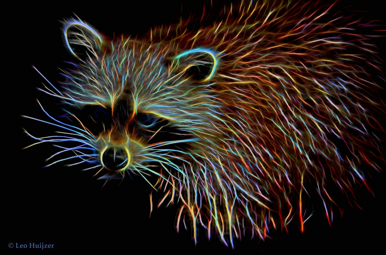 Leo Huijzer-Digital Art Works