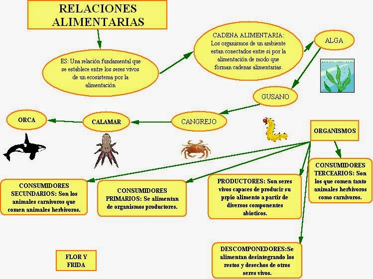 Escuela Primaria Nº 319 Viedma: Relaciones Alimentarias