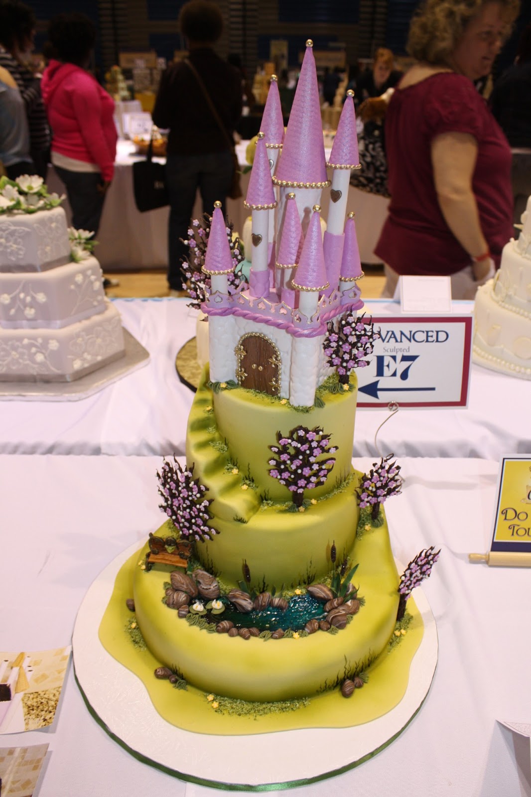 Sweet Eats Cakes: Capital Area Cake Show 2013 Divisional Cakes