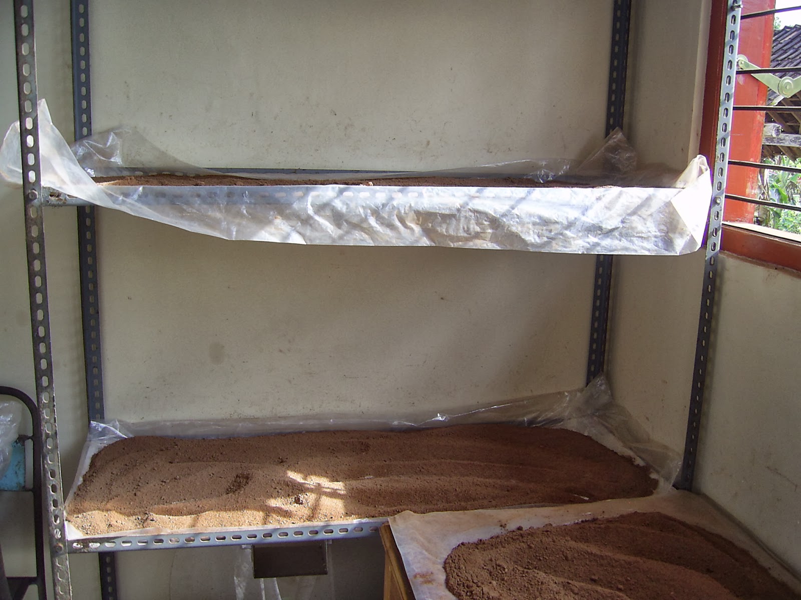 Endah Murniyati's Journey: CACAO TALK - PART IV